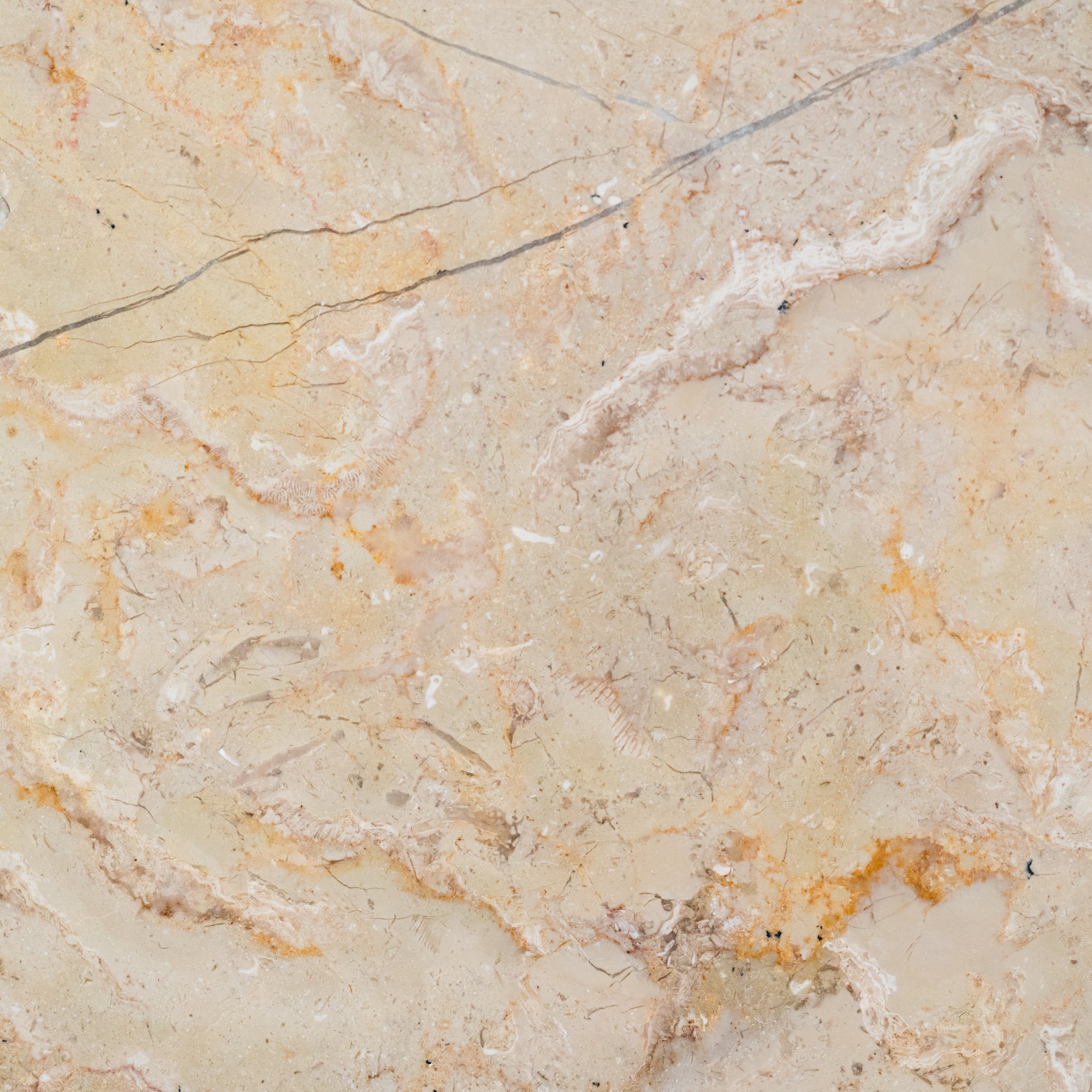 Sierra Light Marble Tile - Polished | Stone & Tile Shoppe
