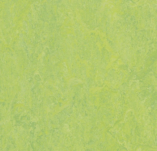 Forbo Marmoleum Modular T3258 Refreshing Green Linoleum Tile — Stone ...