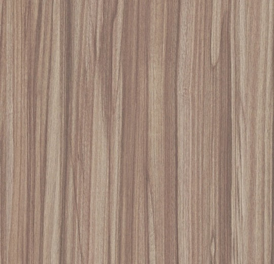Forbo Impressa TI9114 Light Zebrano Vinyl Luxury Vinyl Plank — Stone ...